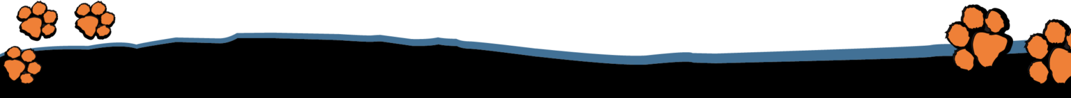 Veterinary Services - PETSinc